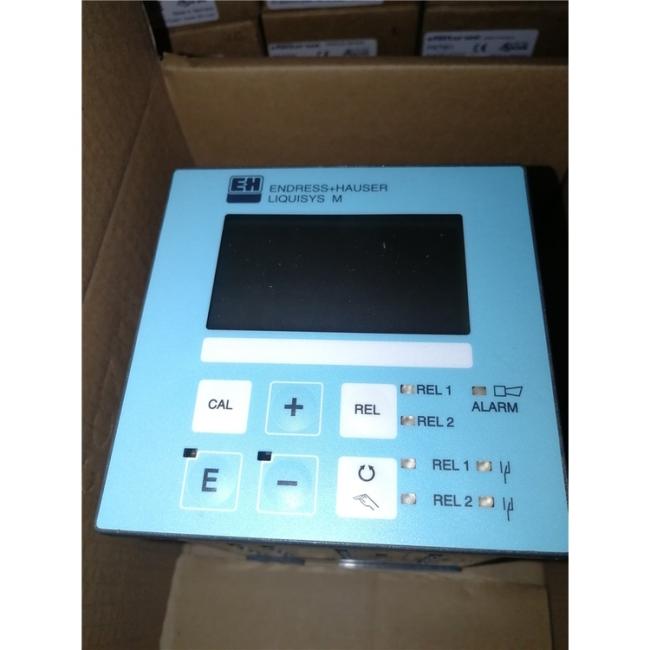 Endress+Hauser Liquisys CCM223 Disinfection Transmitter