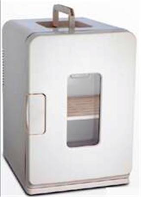 Cina Dispositivo di raffreddamento materiale del frigorifero dell'automobile dei pp, mini frigorifero portatile per la casa & automobile in vendita