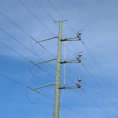 中国 フランジの関係は送電のための電気ポーランド人に電流を通した 販売のため