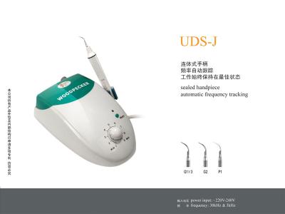 Cina Contatore ultrasonico dentario UDS-J con Handpiece sigillato, uso per pulizia del dente, pulizia dentaria nella clinica dentaria in vendita