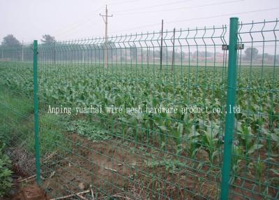 Cina Recinto saldato giardino della rete metallica di bordi, recinto di filo metallico rivestito della plastica verde in vendita