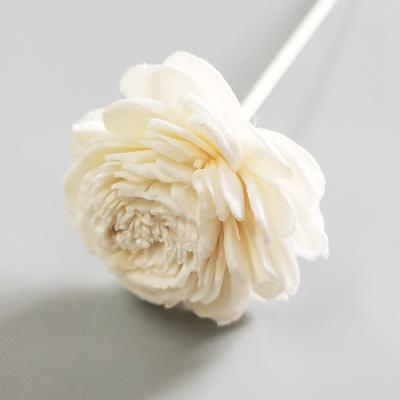 China Home Fragrance Preserved Reed Diffuse Dried Sola Flower Reed Diffuser with Cotton Wick for sale
