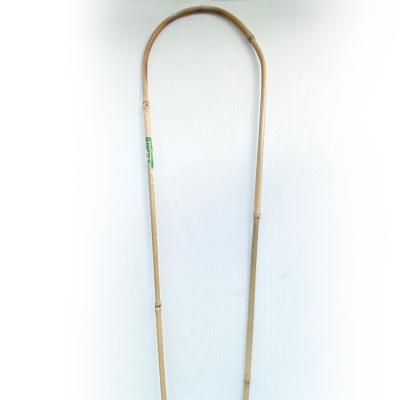 Cina Il bambù di materia prima di 100% picchetta 6m i cerchi di forma che di U Handcrafted il fiore di sostegno del traliccio in vendita