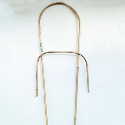 Cina Il bambù di materia prima di 100% picchetta 6m i cerchi di forma che di U Handcrafted il fiore di sostegno del traliccio in vendita