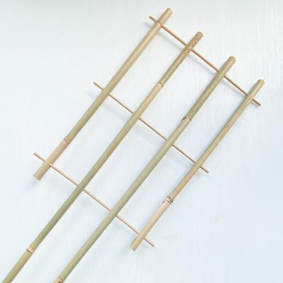 Cina Il bambù di materia prima di 100% picchetta 6m i cerchi di forma che di U Handcrafted il fiore di sostegno del traliccio in vendita