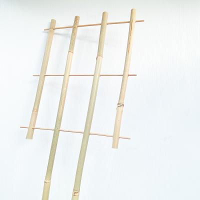 Cina Il bambù di materia prima di 100% picchetta 6m i cerchi di forma che di U Handcrafted il fiore di sostegno del traliccio in vendita