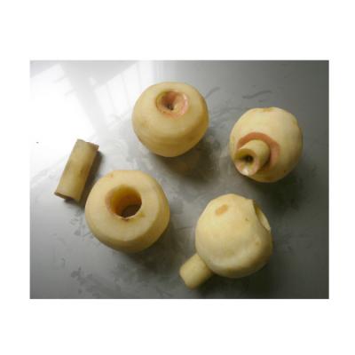중국 304 스테인레스 스틸 전기 사과 껍질 벗기기 및 코어 기계 43kg 8-10pcs/Min 판매용