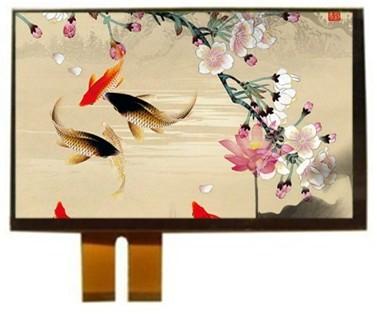 Cina 800*480 ST7262 16/18/24 ha morso impiegati di funzionamento TFT LCD dello schermo a 5 pollici di RGB gli ampi in vendita