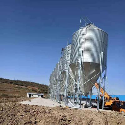 China Customized Feed Silo Small Silo Hot galvanized steel silo price Te koop