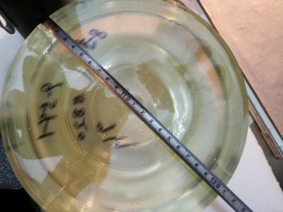 China Enhance Performance with Stoichiometric LiTaO3 Wafers for High-Performance Optoelectronic and Acoustic Applications for sale