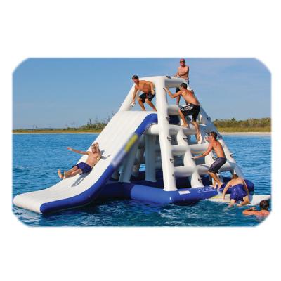 China De duurzame Professionele Opblaasbare Pools van pvc met Dia's/Volwassen Opblaasbare Waterdia Te koop