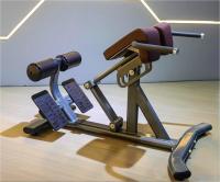 Quality Fitness Equipment Back Exercise Adjustable Back Extension Roman Chair for sale