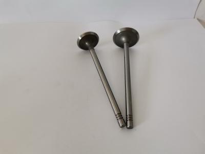 Chine TRAVERSEZ À GUÉ les éléments de moteur de valves d'administration de la valve 3062AC de moteur diesel à vendre