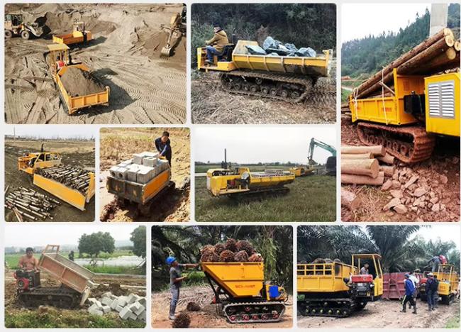 Garden Multi Functional Track Transporter Crawler Type 0.8- 6L Engine Capacity 3