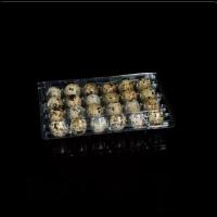 Quality 24 Hole Disposable Plastic Egg Containers PVC Vacuum Formed Transparent for sale