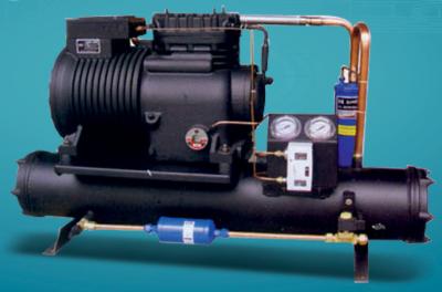 Cina R404A Midium ed unità di condensazione raffreddata ad acqua del pistone semiermetico di bassa temperatura in vendita