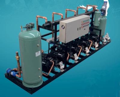 Cina Medium ed unità di condensazione parallele R404A del pistone di bassa temperatura in vendita