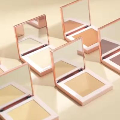 China OEM / ODM Wholesale Face Pressed Powder Makeup Private Label Matte Foundation Full Coverage Concealer Powder Foundation Oil-Control Lightweight for sale
