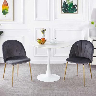 Cina 24.80lbs gamba del metallo del peso 2pc Gray Velvet Upholstered Dining Chair in vendita