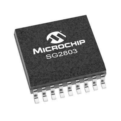 중국 미국 마이크로 칩 통합 회로 SG2803DW 새 오리지널 전자 부품 패키지 DFN-6-EP ((1.6x1.6) 모니터 및 리셋 칩 MOSFET 판매용