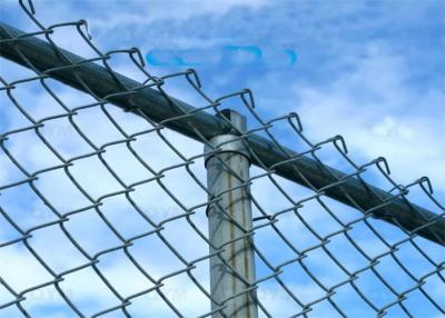Cina Recinto Roll del collegamento a catena di Diamond Mesh Wire Privacy Pvc Coated 5ft 6ft 8ft in vendita