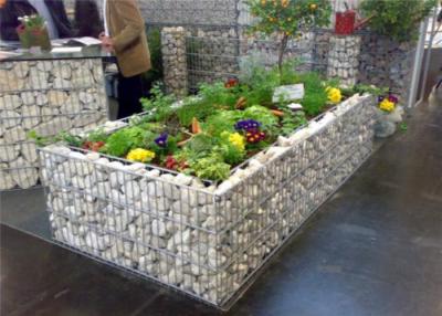 中国 花および野菜を植えるための溶接されたGabionsによって上げられる庭のベッド 販売のため