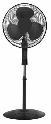 Cina 18