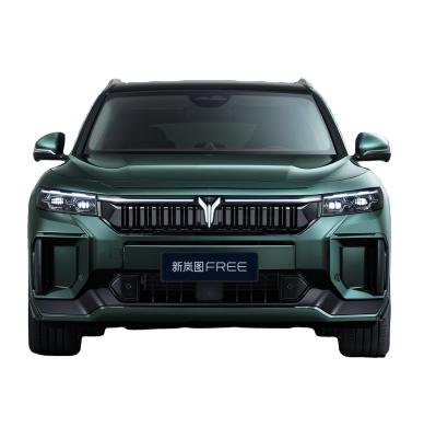 China Maximum Speed 200km/h Lantu Free 2024 Ultra Long Range Intelligent Driving Edition Medium and Large SUV Plus Program for sale
