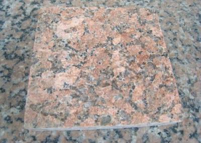 Cina Piastrelle per pavimento del granito del modello di fiore grandi, piastrelle per pavimento solide della cucina del granito in vendita