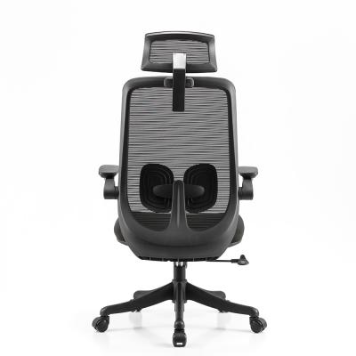 Cina Parte posteriore regolabile Mesh Desk Chair di sostegno lombare della sedia ergonomica di compito del sedile scorrevole alta in vendita