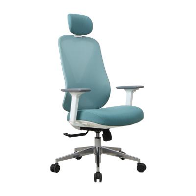 Cina Ciano Mesh Office Chair in vendita