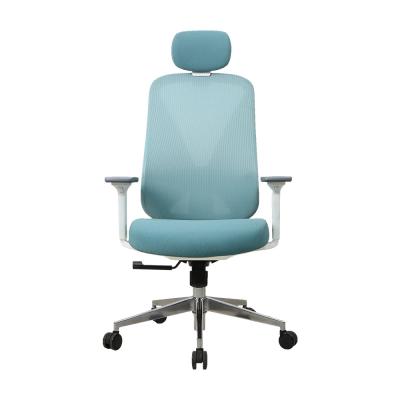 Cina Ergo dirigente blu Mesh Chair del nylon della sedia dell'ufficio di compito ergo in vendita