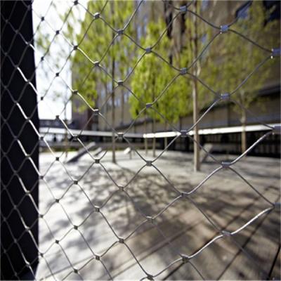 China flexible and durable stainless steel cable netting mesh/ rope mesh / cable webnet for sale