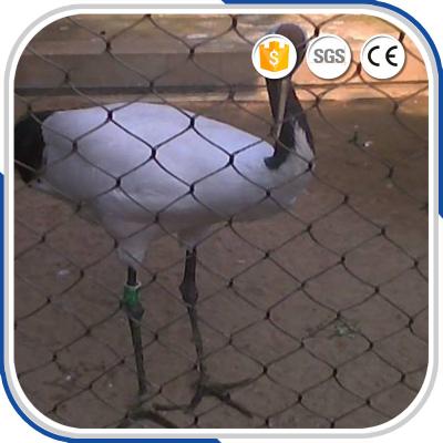 China AISI316 1.2 mm 30 mm Eye Size X-TEND Woven Aviary Rope Mesh Netting for sale