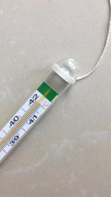 FN-W Customized Clinical Mercury Free Digital Thermometer in Yellow/blue