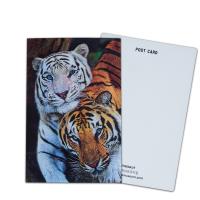 Participation and Donation Options 3D Card with Lenticular Printing china Participation and Donation Options 3D Card with Lenticular Printing