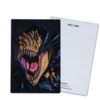 Customize 3D Lenticular Postcards Dinosaur Wild Animals for Zoo Park china Customize 3D Lenticular Postcards Dinosaur Wild Animals for Zoo Park