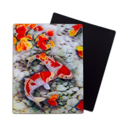 3D Magnets Sealifes Dolphin Shark Turtle Lenticular Printing Card For Gifts