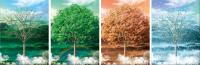 Quality Movies Sports 3D Flip Poster Manga Wall Decor 3D Picture Changing Picture Anime Poster for sale