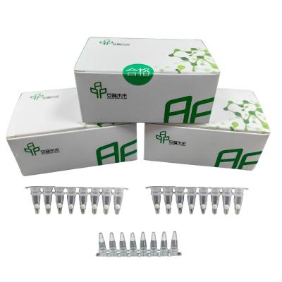 Cina Kit di amplificazione di DNA isotermica ad alta sensibilità per 20 minuti per un' accurata rilevazione in vendita