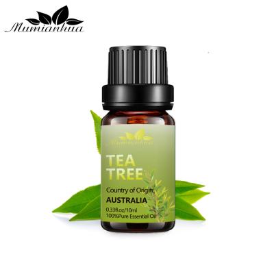 Китай ранг ODM MSDS заботы кожи угорь эфирного масла дерева чая 10ml косметическая продается