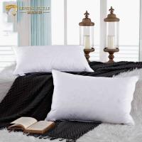 Quality Customized Luxury King Size Pillows Standard Anti Static With Microfiber Filling for sale
