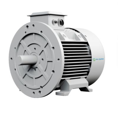 Cina Motore sincrono a magnete permanente trifase di 22KW 7200RPM in vendita