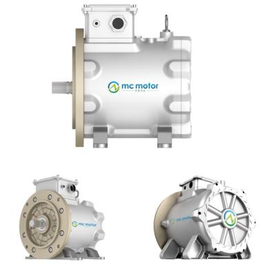 Cina Direttamente guidando 250KW 12000RPM motore di Pmac di 3 fasi in vendita