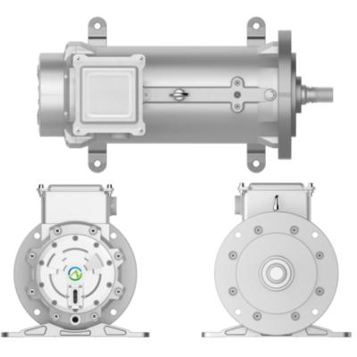 Cina 75KW 24000RPM 29Nm un motore sincrono a magnete permanente di 3 fasi in vendita