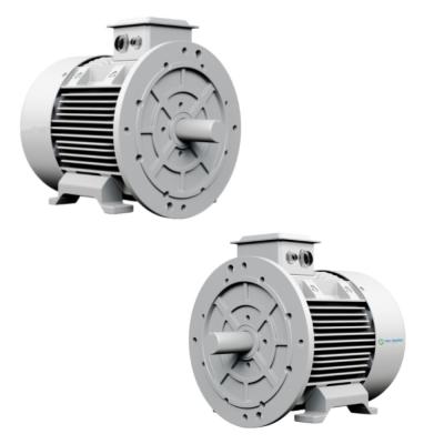 Cina Servomotore a magnete permanente di riluttanza di 27KW 6000R PMAC con il fan coassiale in vendita