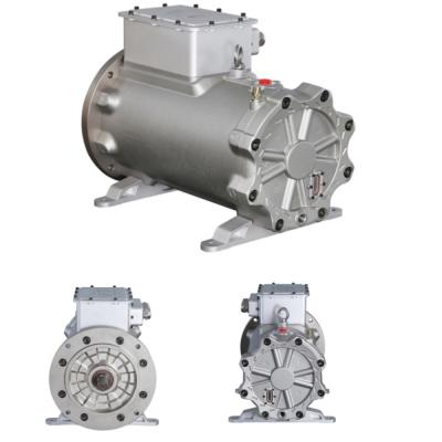 Cina Servo generatore a magnete permanente di riluttanza 400KW in vendita