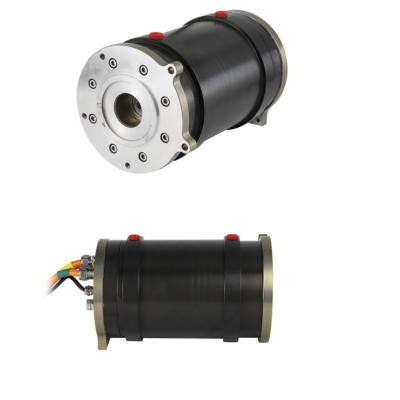 Cina 230V motore sincrono di riluttanza di CA 60A 20KW 24000RPM in vendita