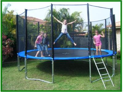Cina trampolino di salto dell'ammortizzatore ausiliario all'aperto 10ft di 8ft grande con la recinzione/trampolino dei bambini in vendita