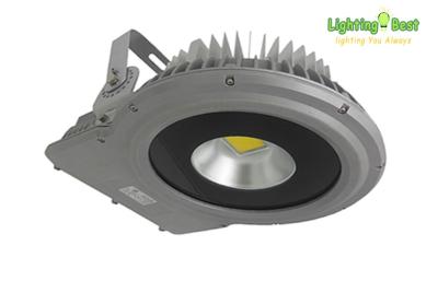 Cina 300W all'aperto ha condotto la luce di inondazione per il giardino in vendita